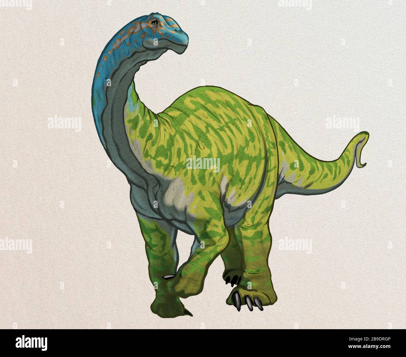 Camarasaurus Illustration High Resolution Stock Photography and Images ...