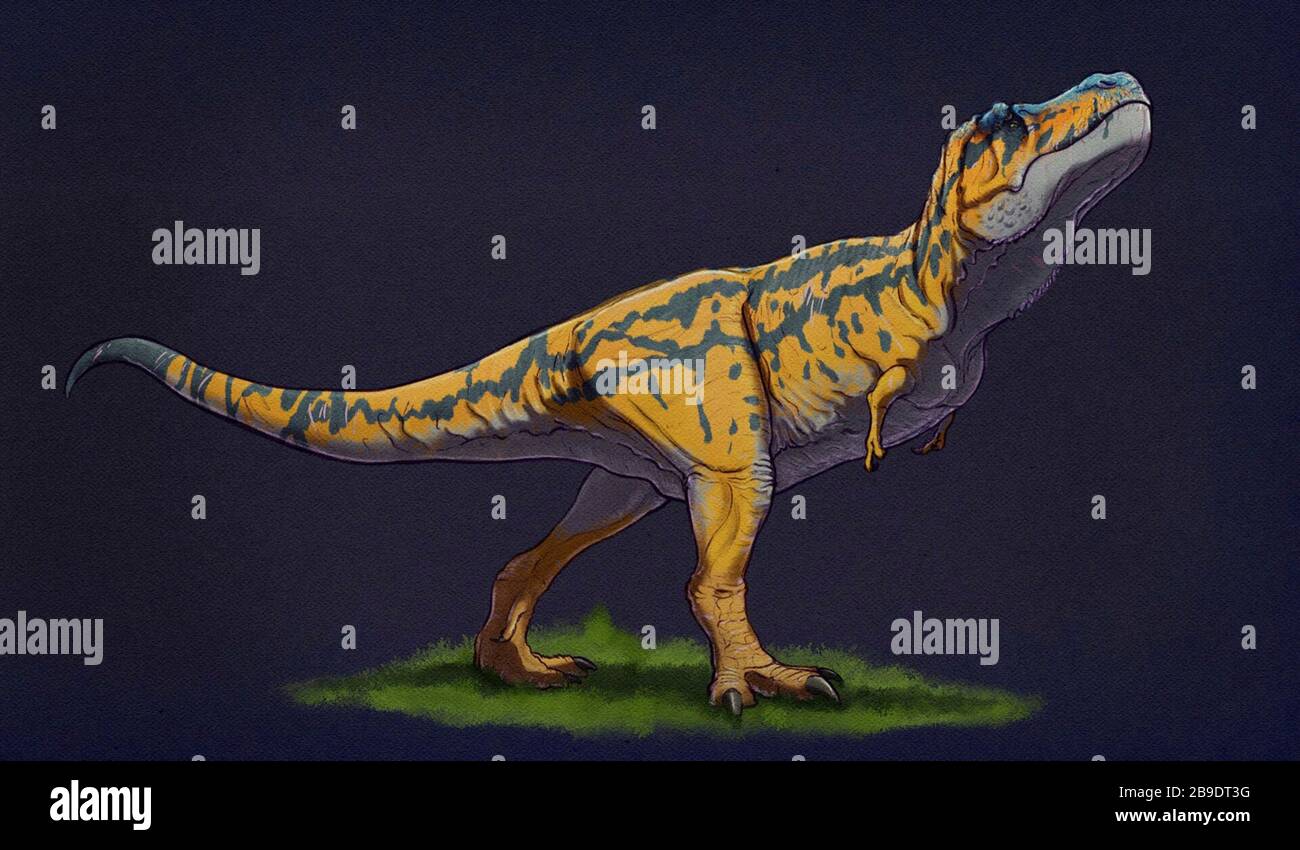 Lateral view of a Tyrannosaurus rex Stock Photo - Alamy