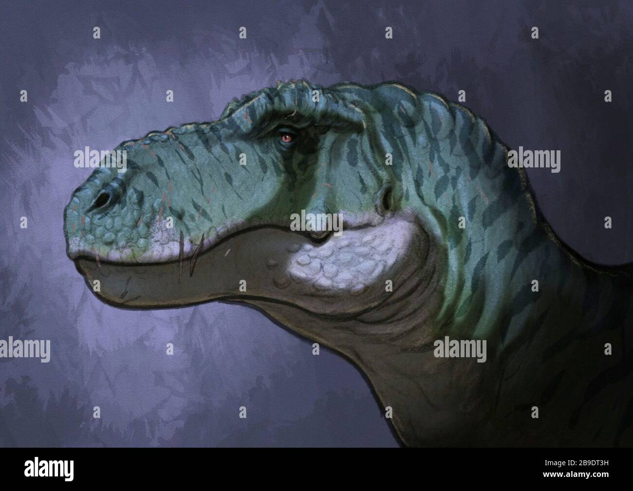 Portrait of a Tyrannosaurus rex Stock Photo - Alamy