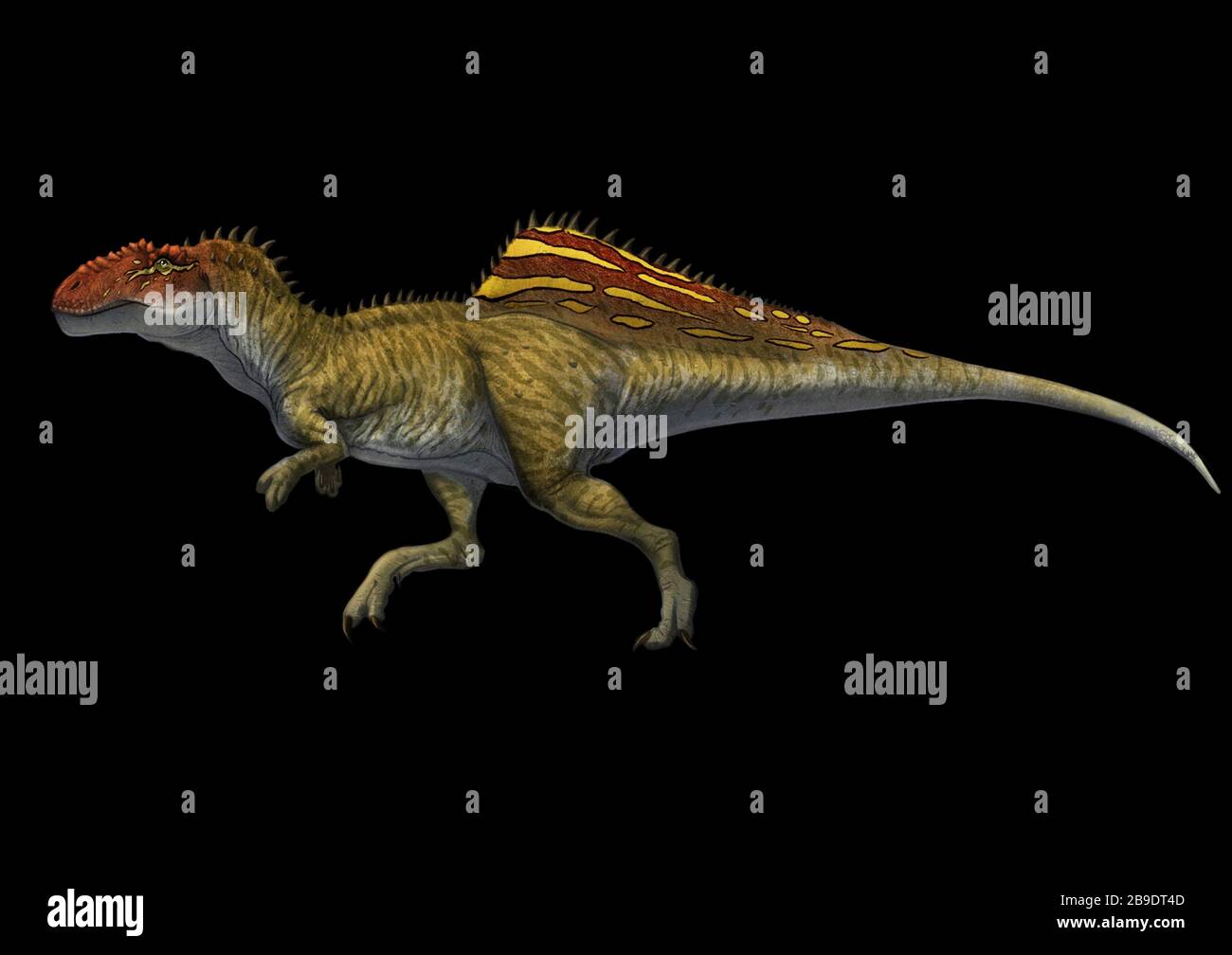 Lateral view of a Concavenator dinosaur Stock Photo - Alamy