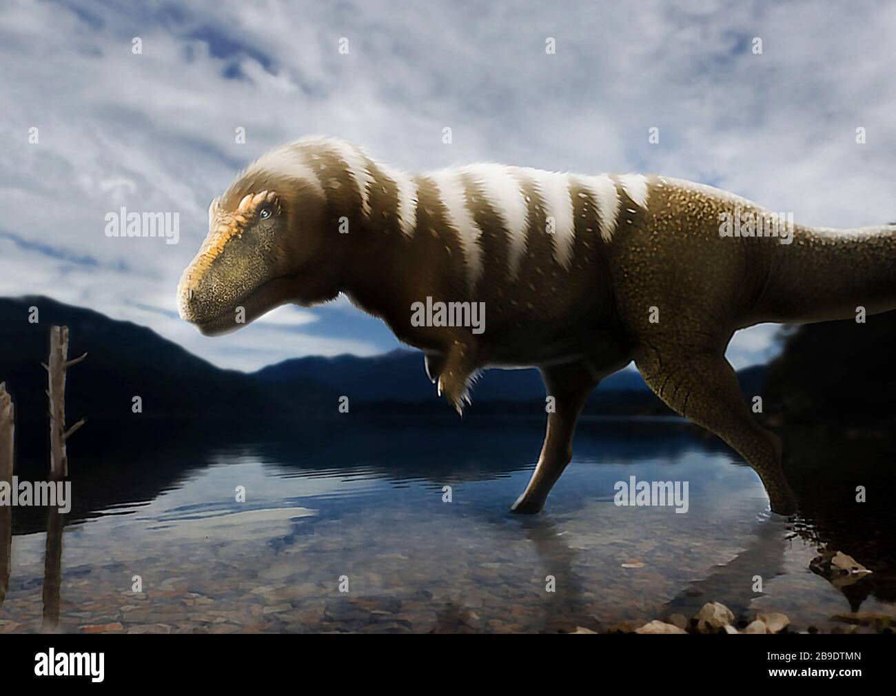 Shallow part hi-res stock photography and images - Alamy