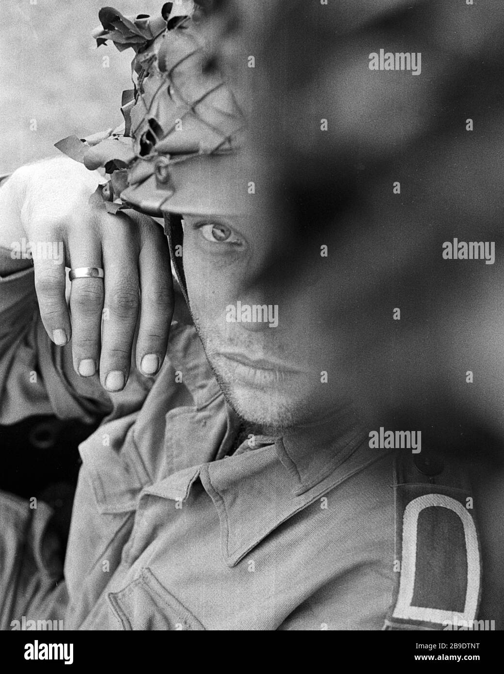 Combat Infantry Badge High Resolution Stock Photography and Images - Alamy