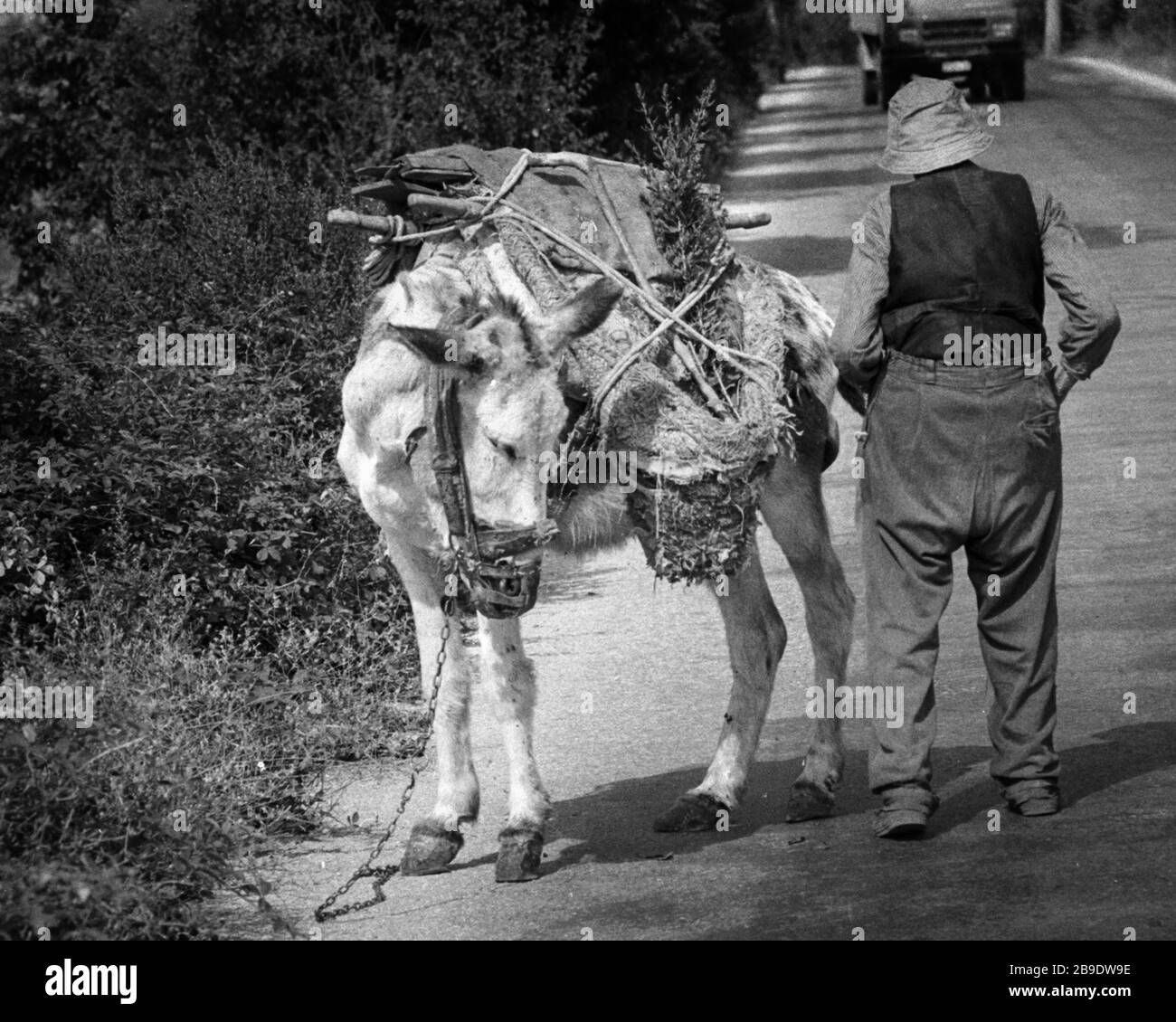 Old man donkey hi-res stock photography and images - Alamy