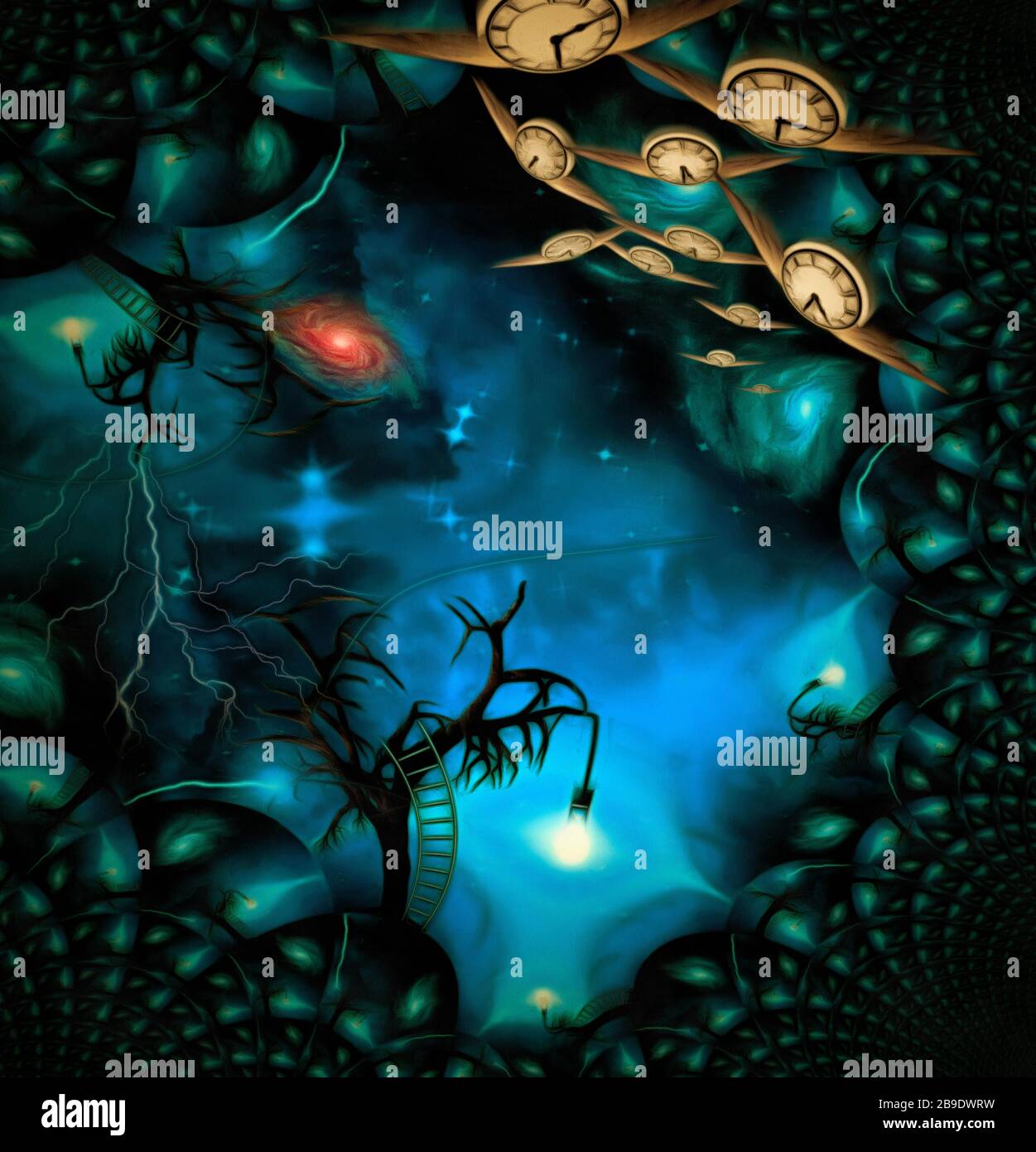 Tree represents hi-res stock photography and images - Alamy