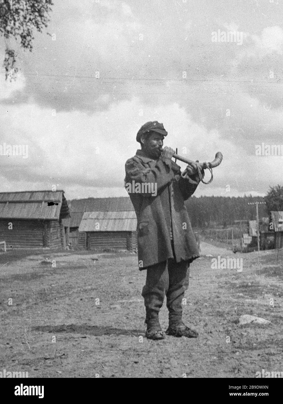 1940s Cattle High Resolution Stock Photography and Images - Alamy