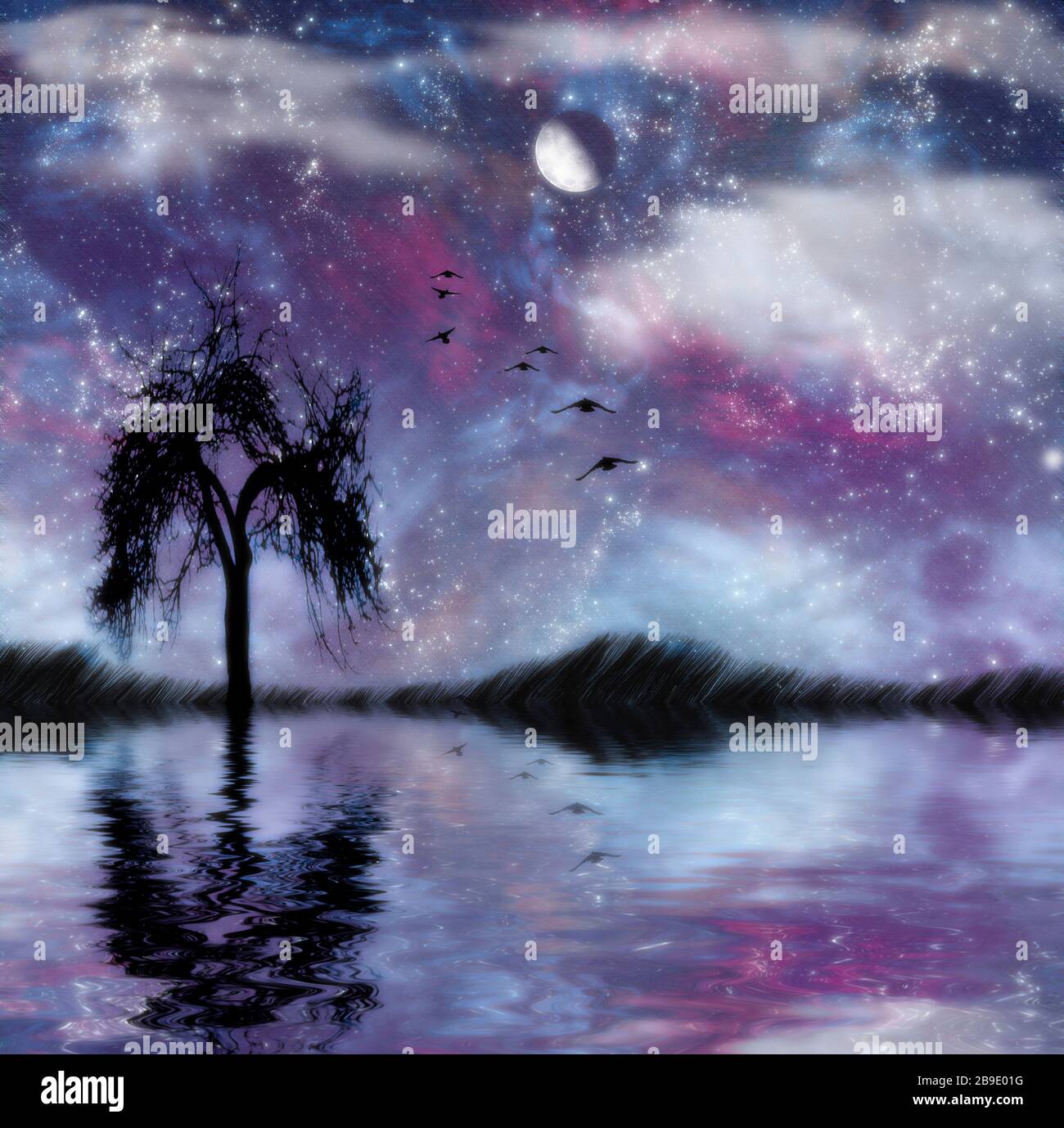 Aqua birds hi-res stock photography and images - Alamy