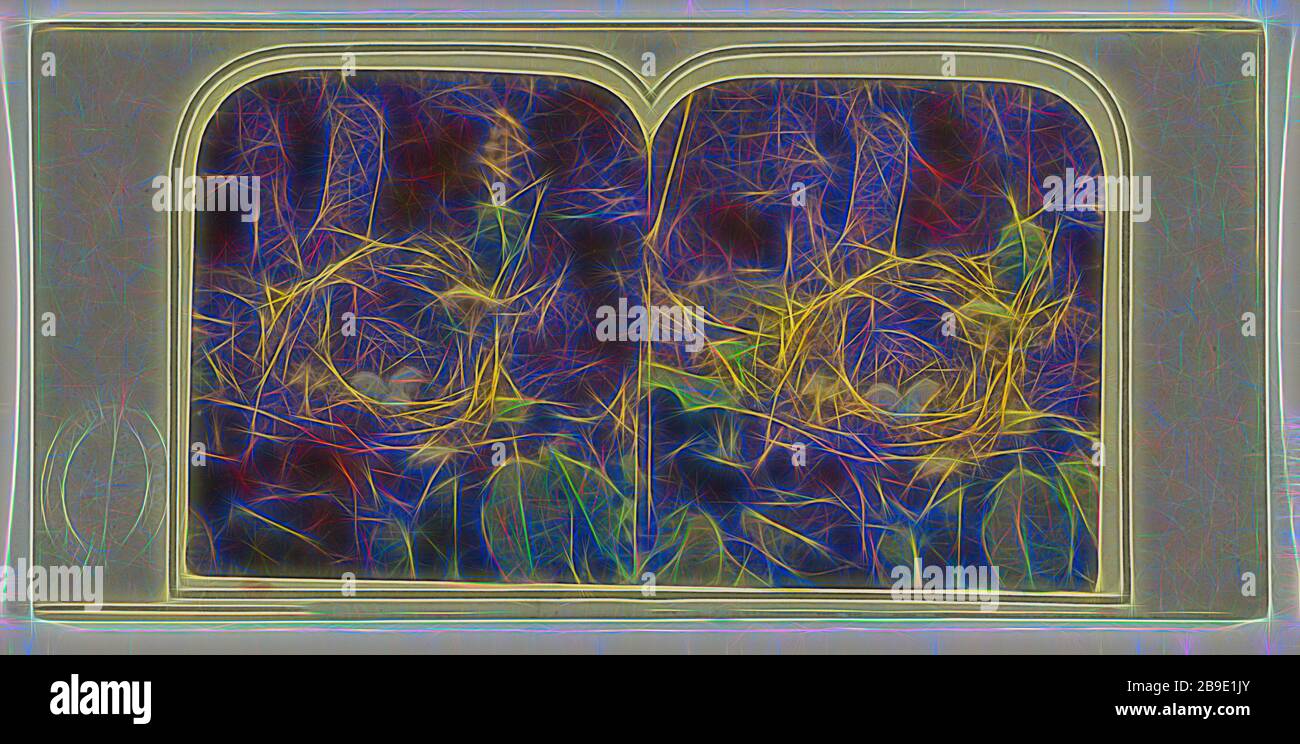 Missel Thrush Nest, London Stereoscopic Company (active 1854 - 1890 ...