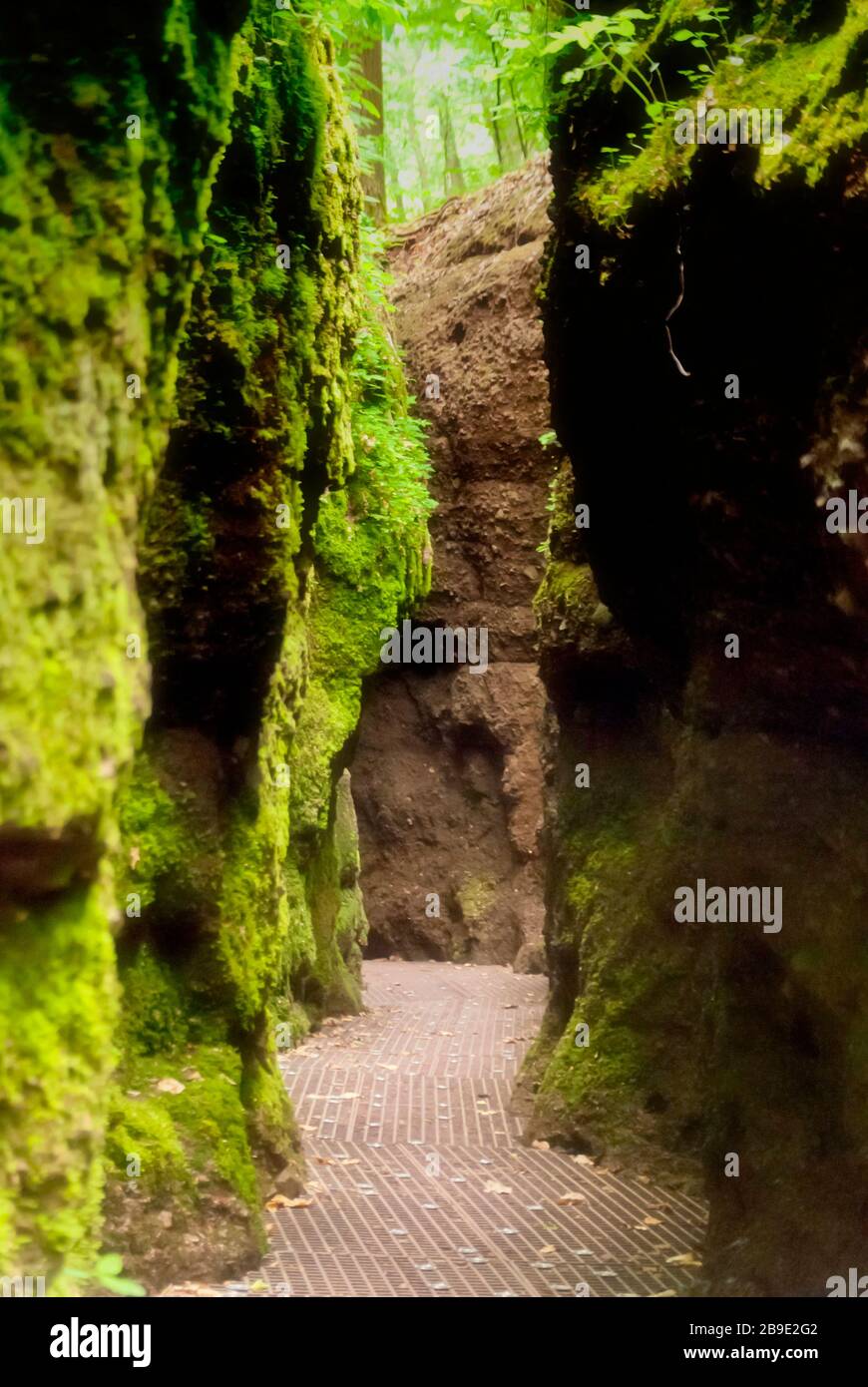 Green dragon ridge High Resolution Stock Photography and Images - Alamy