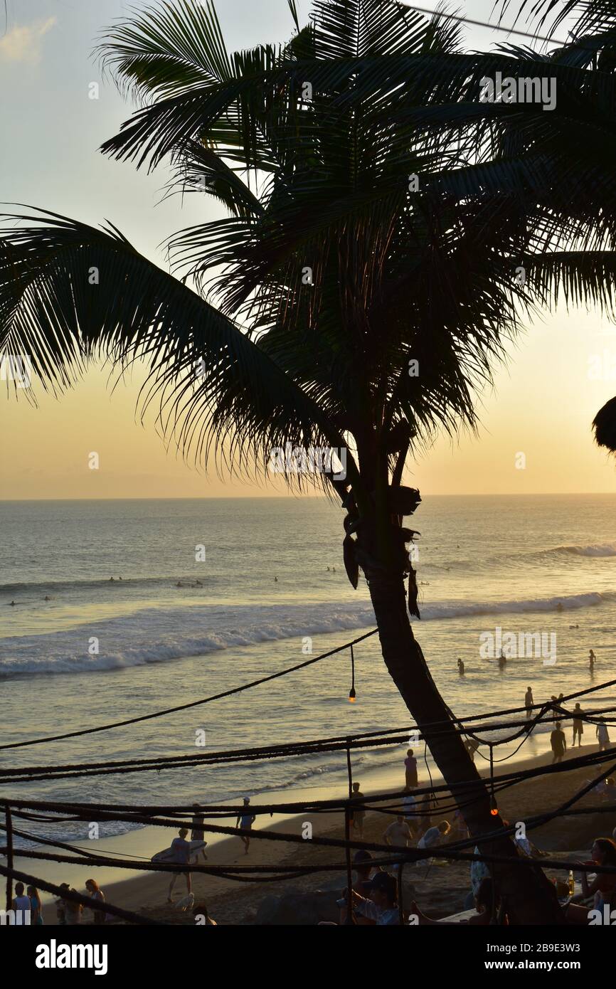 Beach bar palm tree sunset Stock Photo - Alamy
