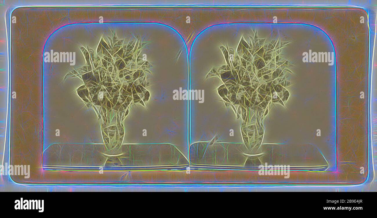 Flower arrangement, about 1870, Albumen silver print Stock Photo - Alamy