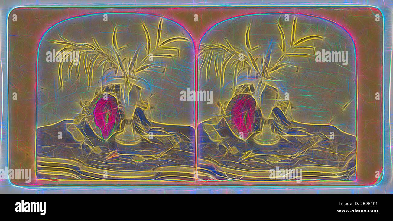 Flower arrangement, about 1865, Hand-colored Albumen silver print Stock ...