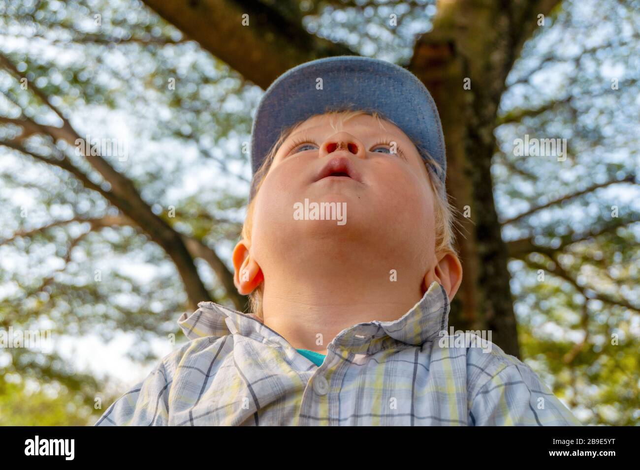 Boy look up at tree hi-res stock photography and images - Alamy