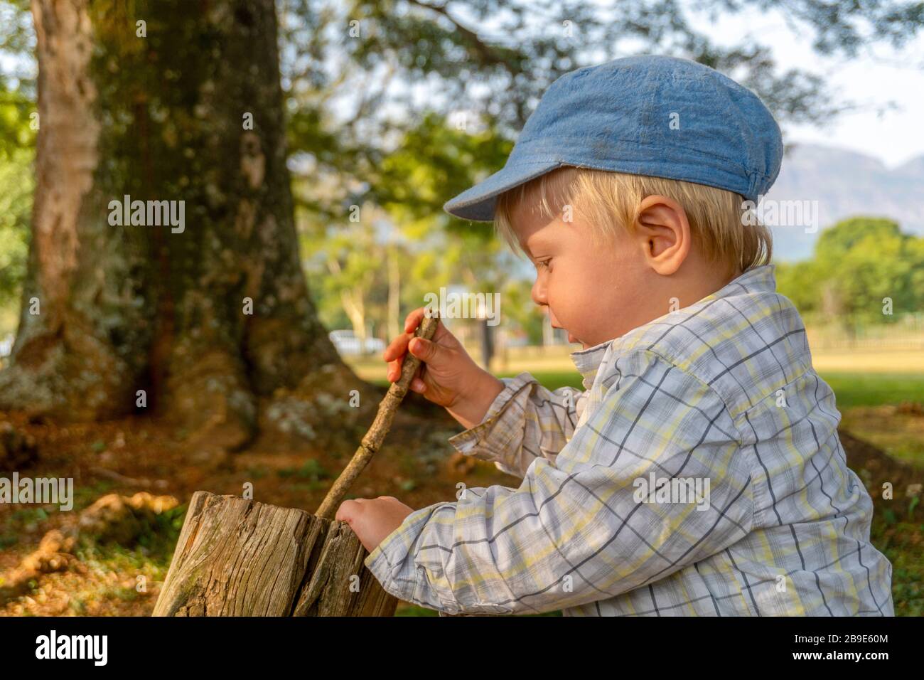Boy sitting under tree in hi-res stock photography and images - Alamy