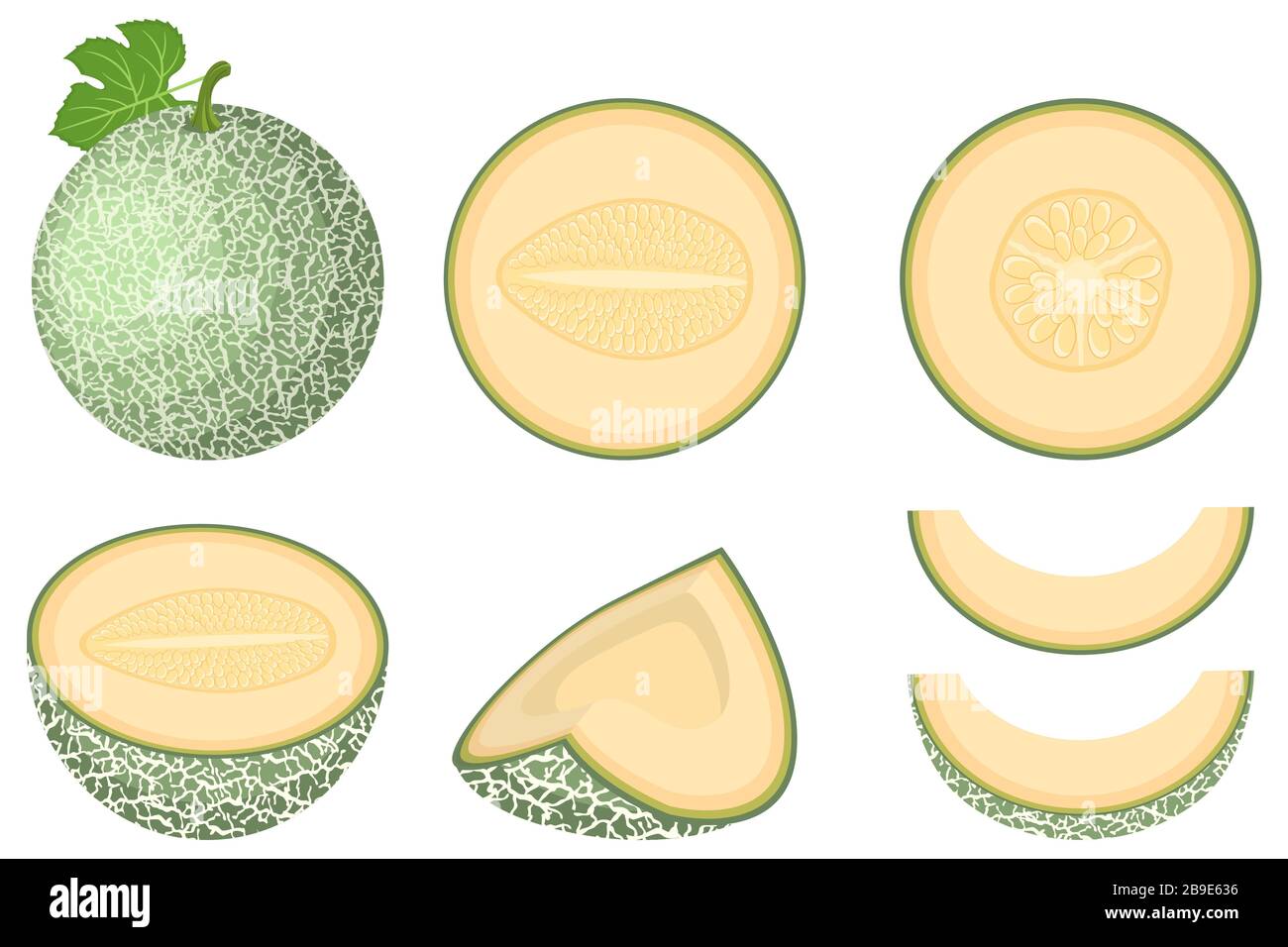 Set of fresh whole, half, cut slice melon fruit isolated on white background. Cantaloupe melon ...