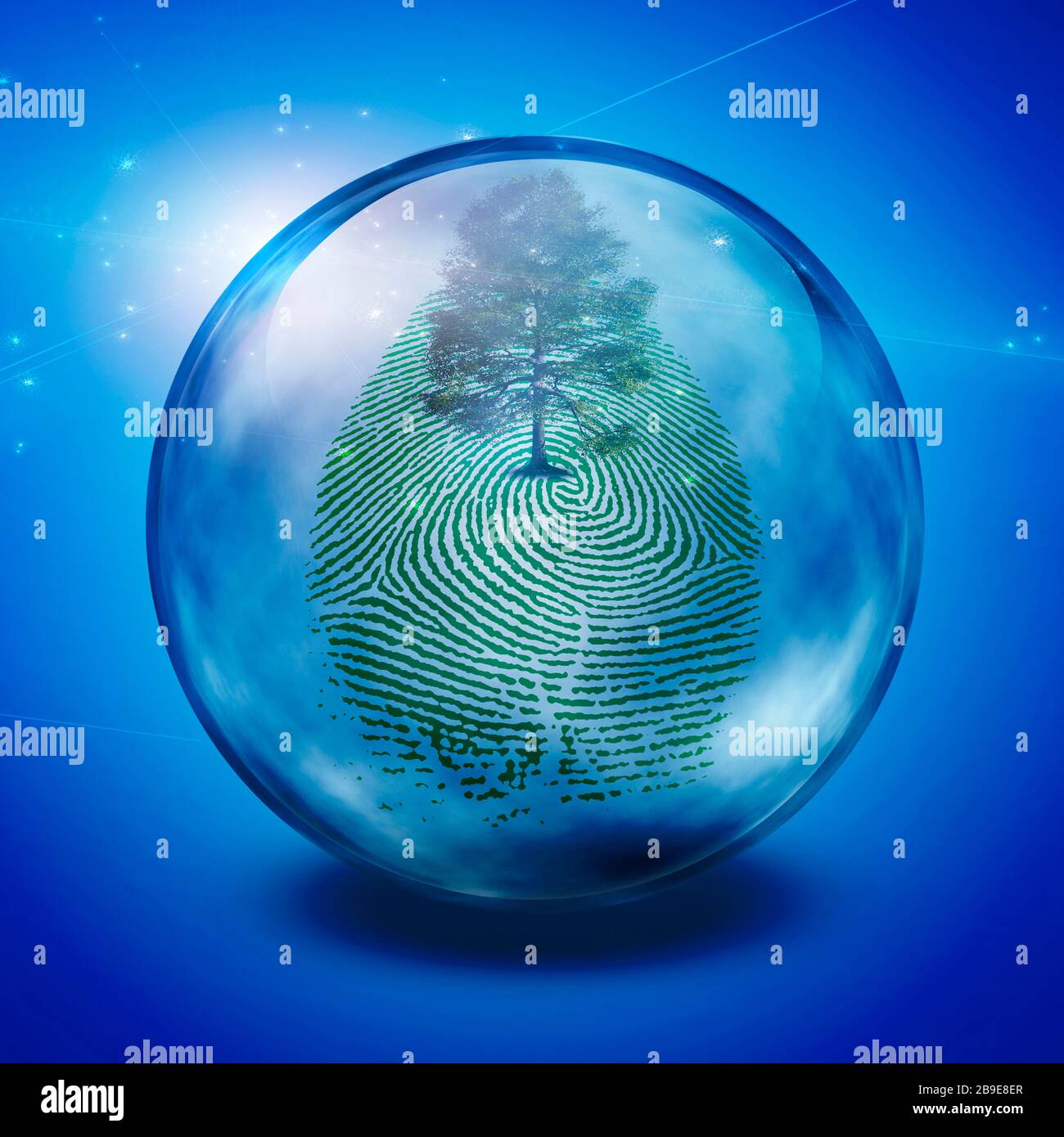 Green tree and fingerprint inside bubble Stock Photo - Alamy