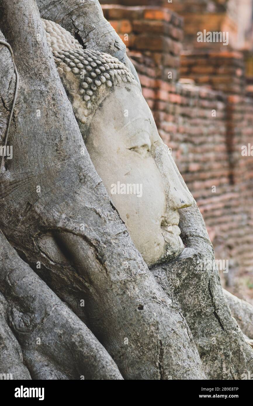 Side view of buddha hi-res stock photography and images - Alamy