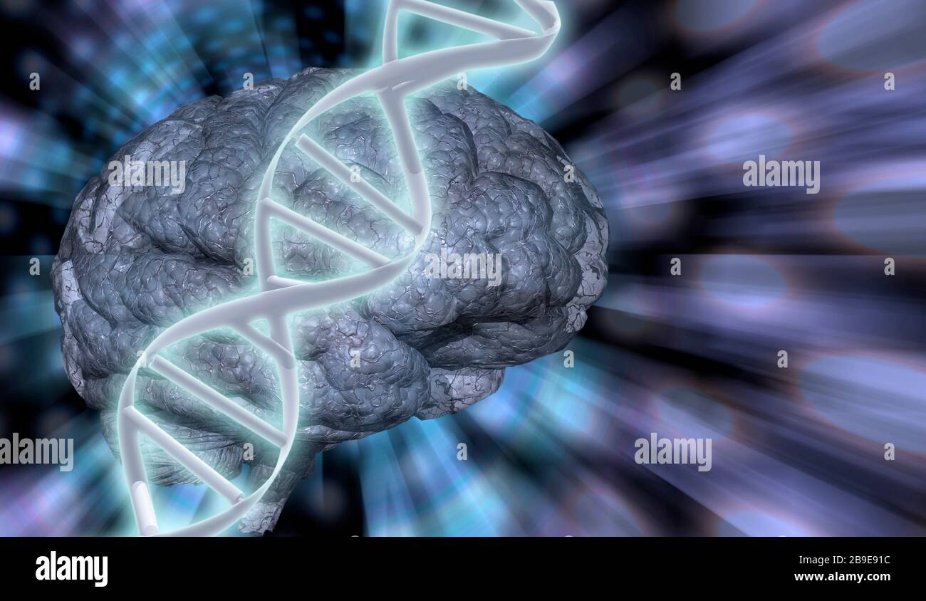 Dna brain hi-res stock photography and images - Alamy