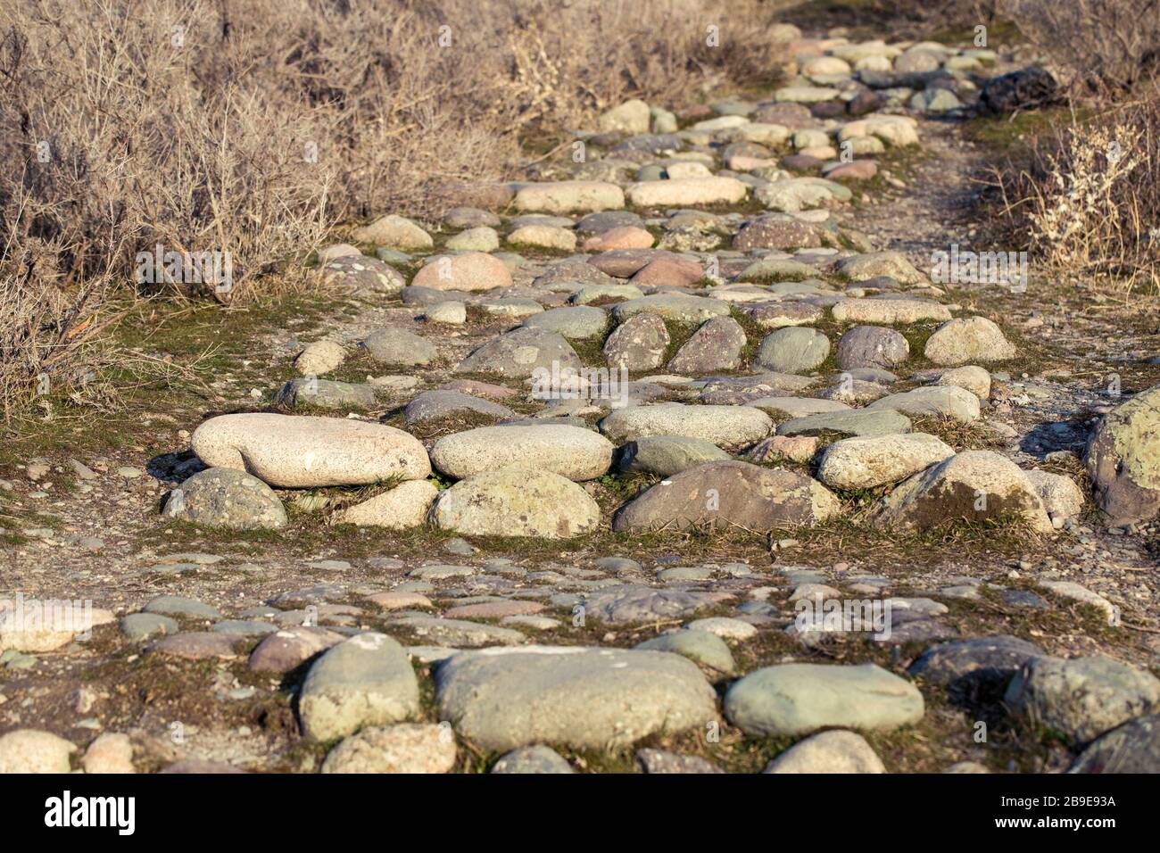 Ancient stone steps. The texture of natural stone with sprouted grass ...