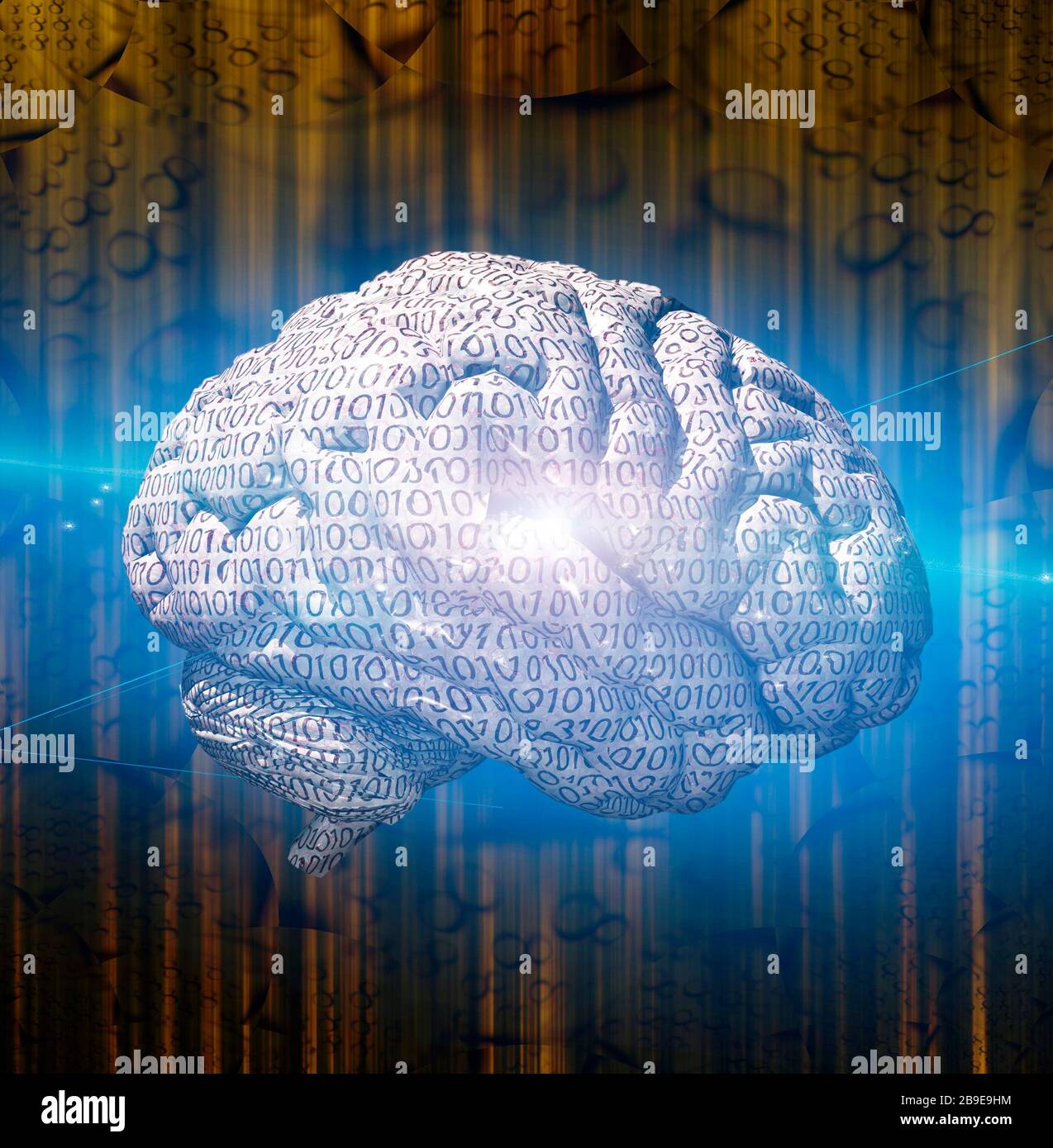 Human brain with binary code Stock Photo - Alamy