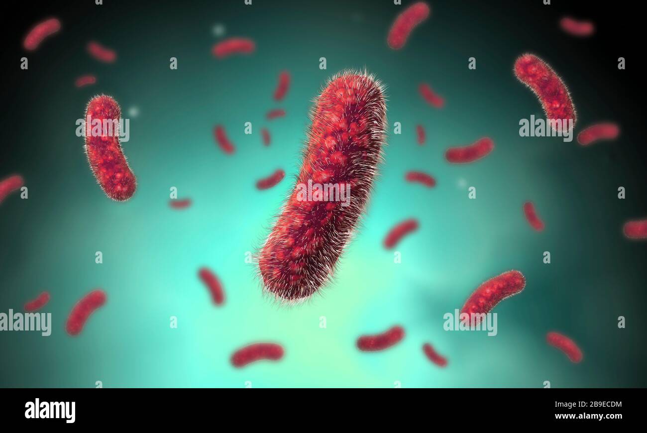Conceptual image of the Bacillus bacteria Stock Photo - Alamy