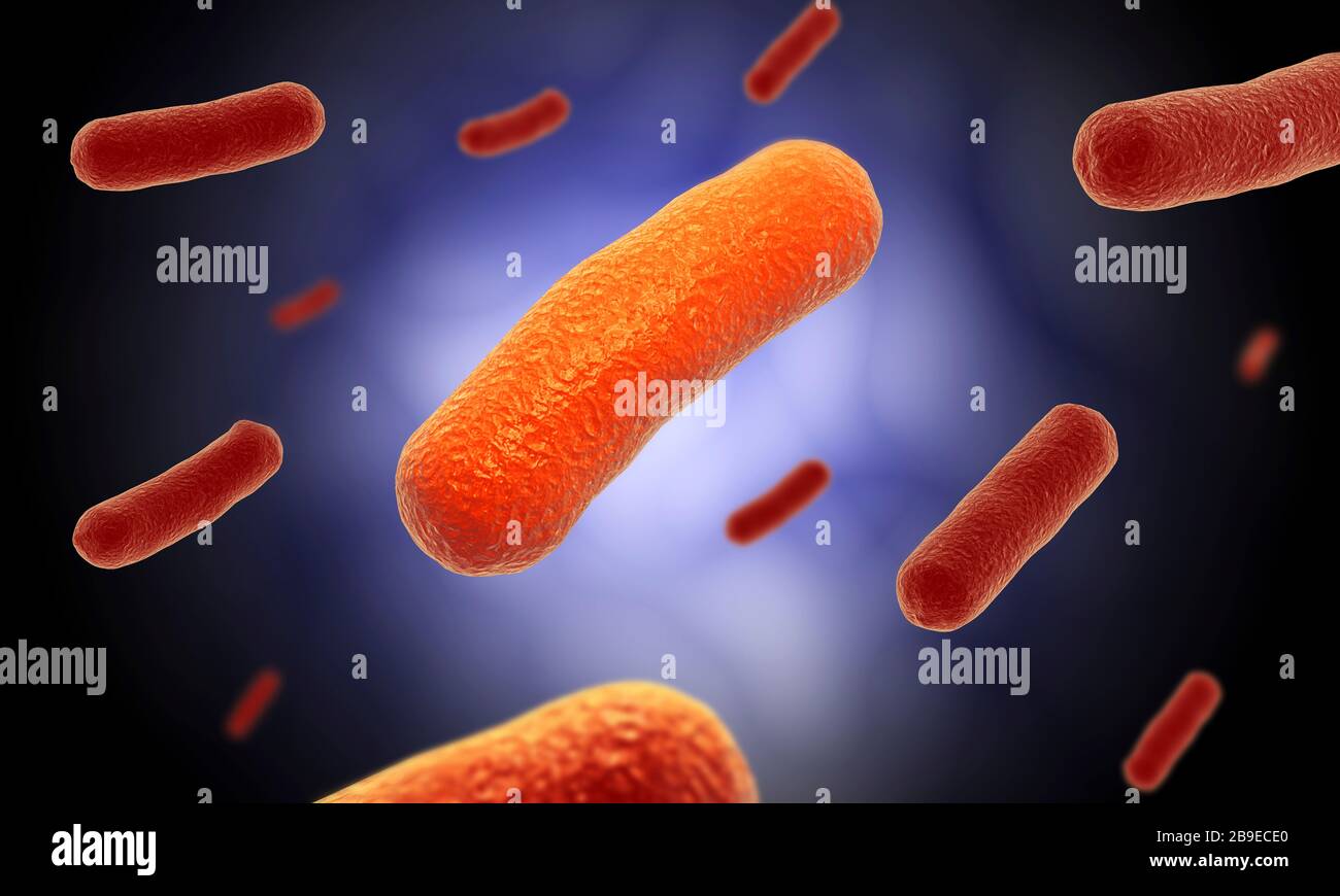 Conceptual image of the Bacillus bacteria Stock Photo - Alamy