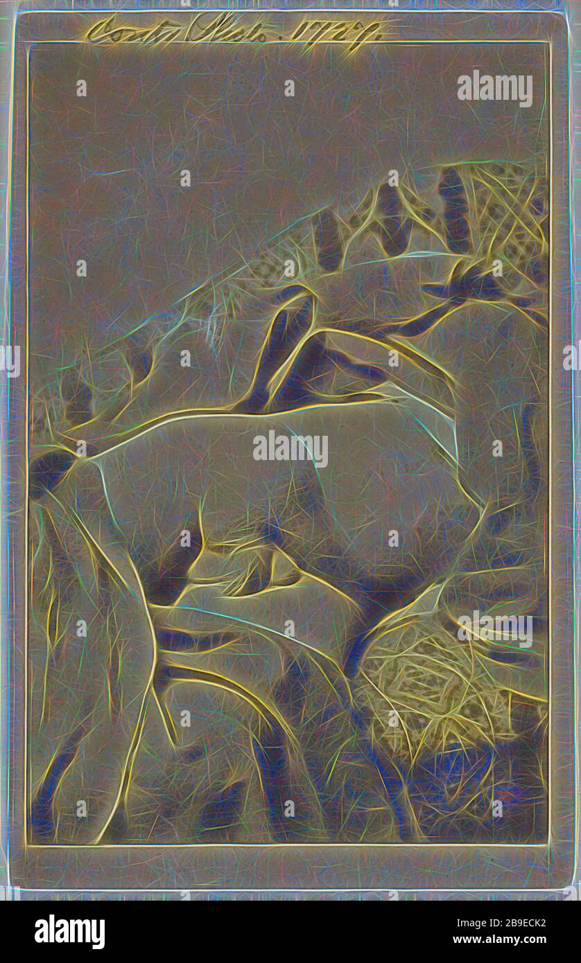 Undescended hi-res stock photography and images - Alamy