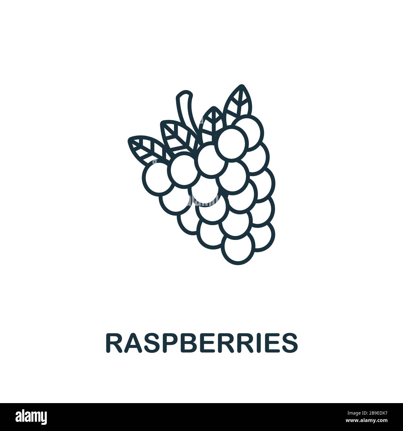 Raspberries icon from fruits collection. Simple line element ...
