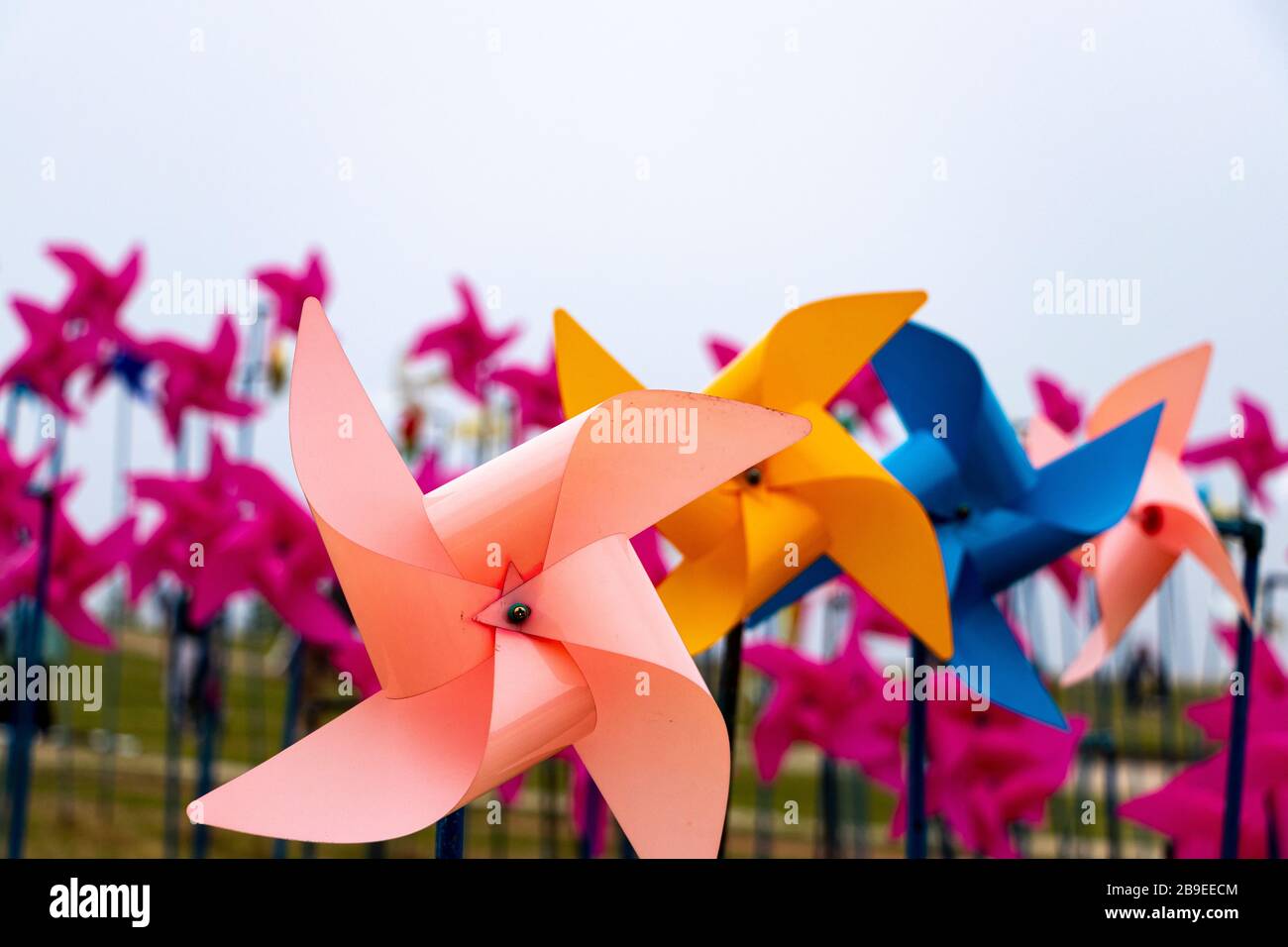Yellow pinwheels hi-res stock photography and images - Alamy