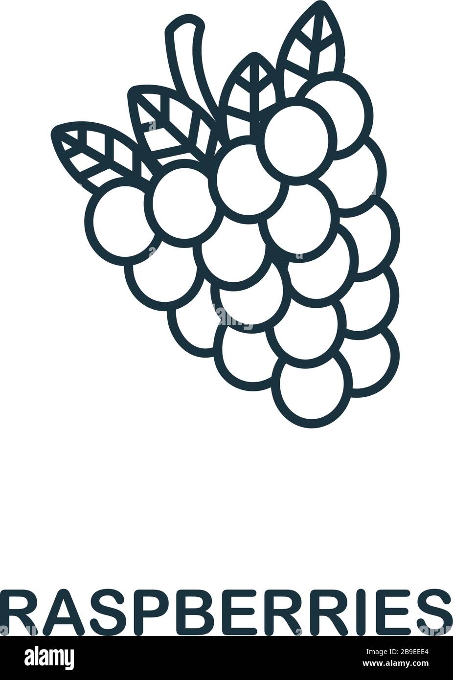 Raspberries icon from fruits collection. Simple line element ...