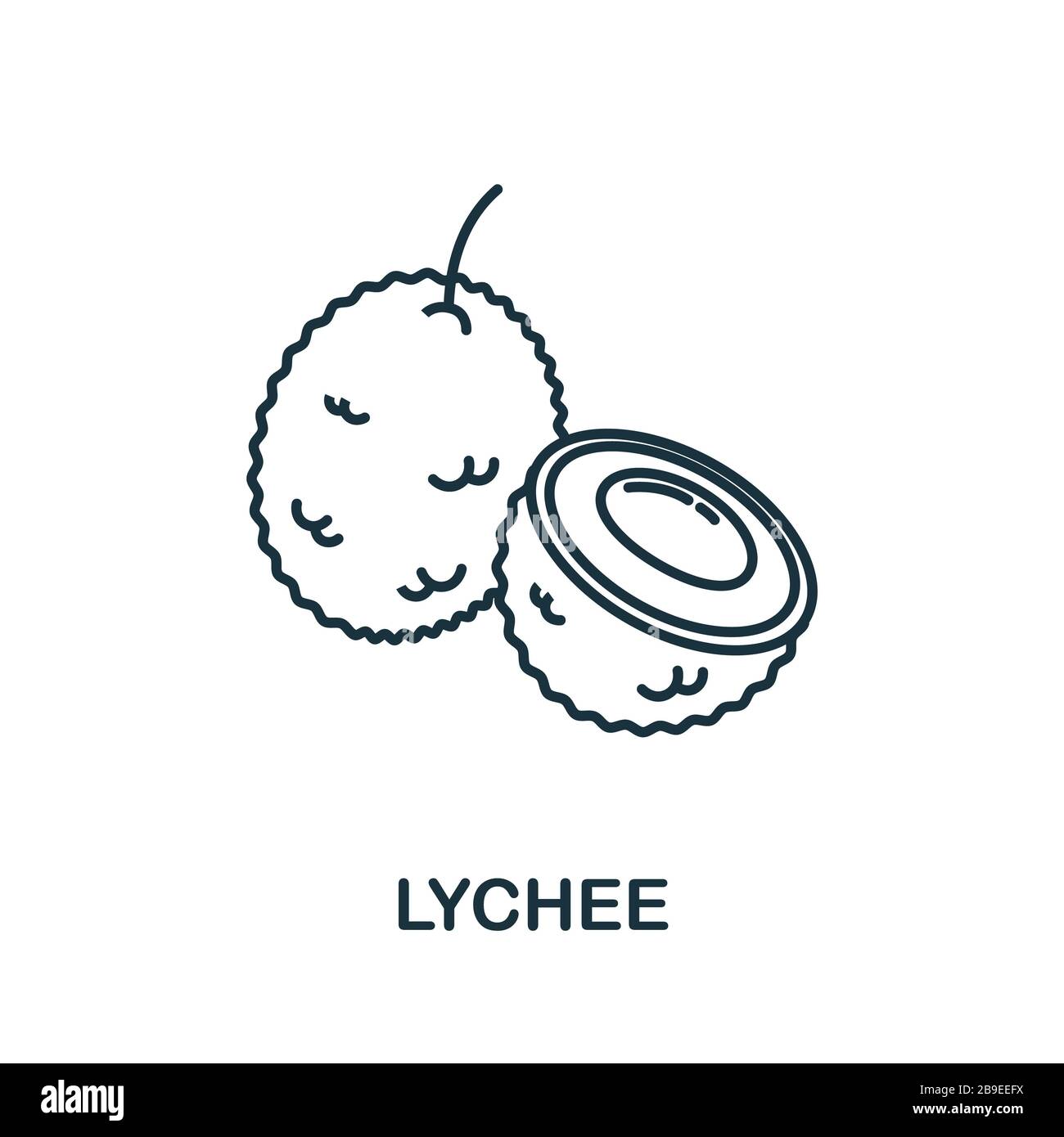 Lychee icon from fruits collection. Simple line element Lychee symbol ...