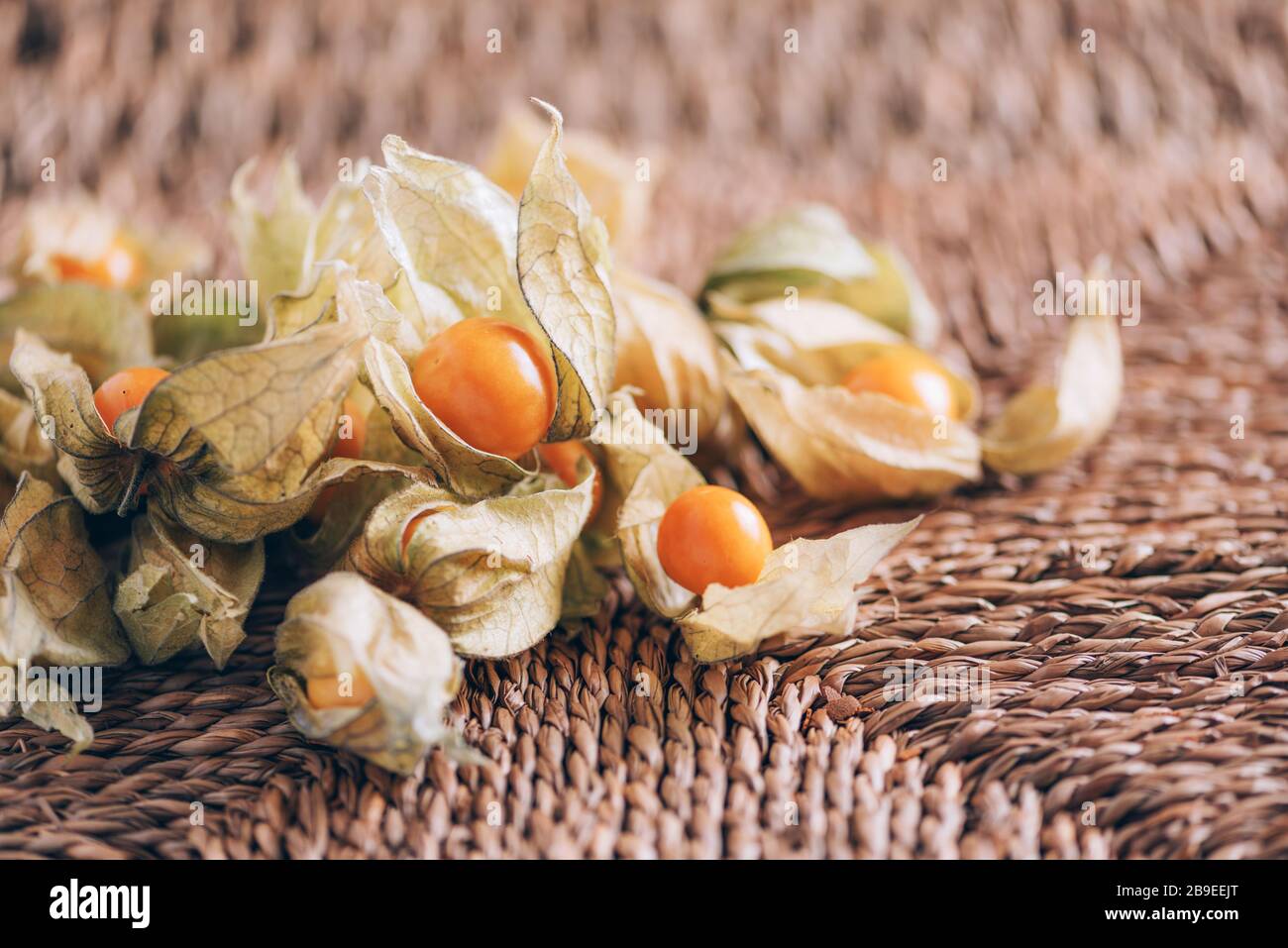 Physalis fruit with husk over palm leaves on rattan background. Copy ...