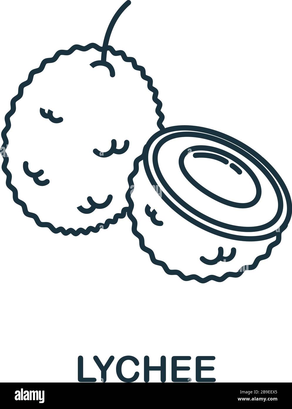 Lychee icon from fruits collection. Simple line element Lychee symbol ...