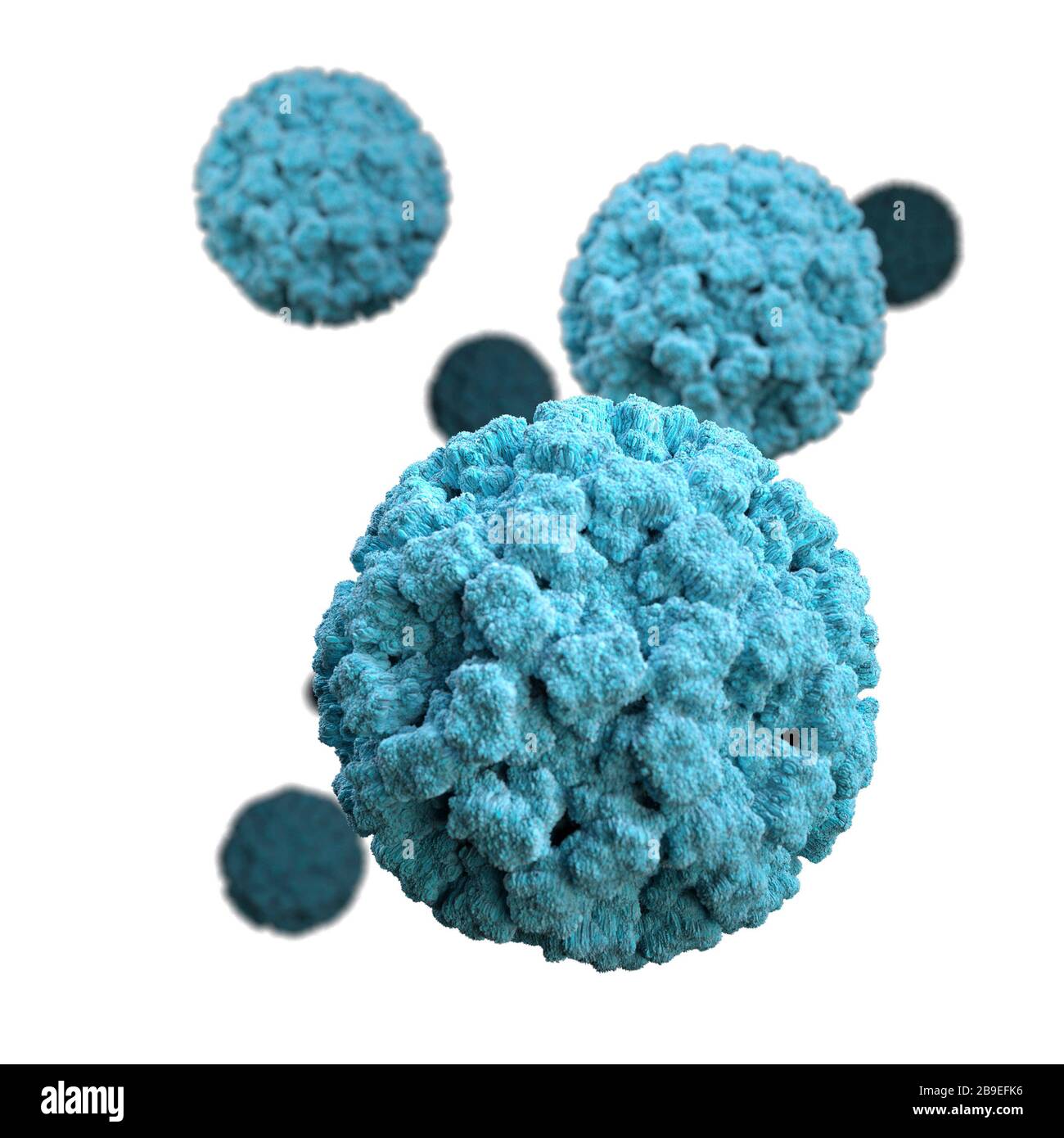 3D illustration of norovirus virions set against a black background ...