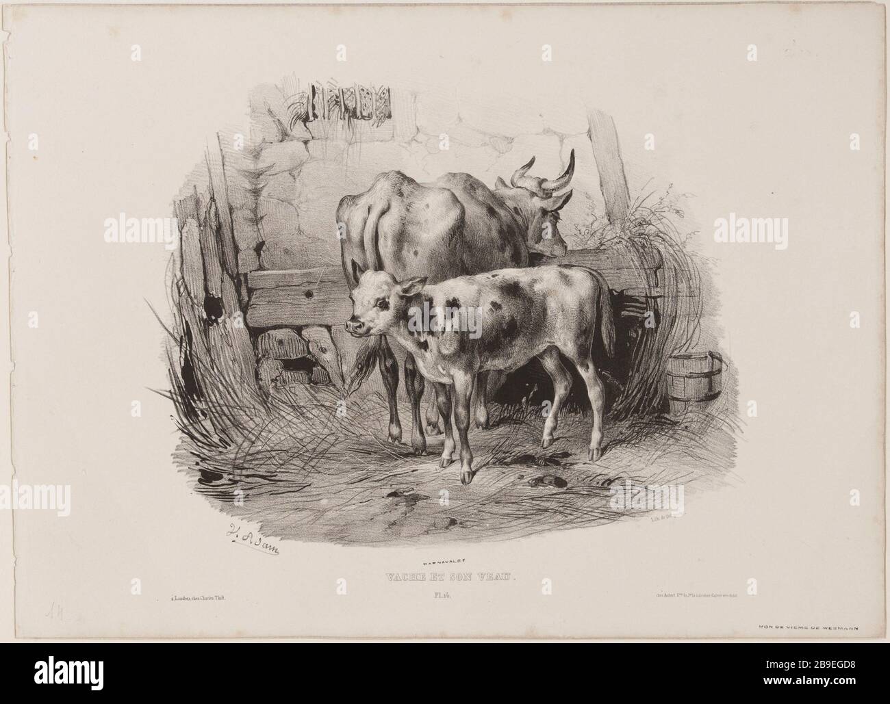 Cow and calf (pl.14) Jean-Victor Vincent Adam (1801-1866), peintre et ...