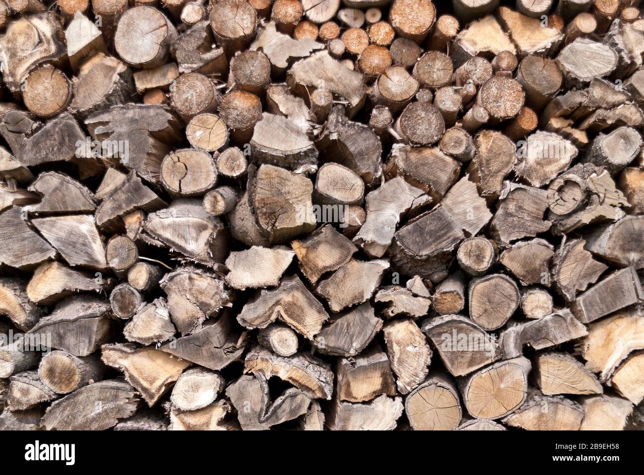 Stack of Wood in a german Forest Stock Photo - Alamy