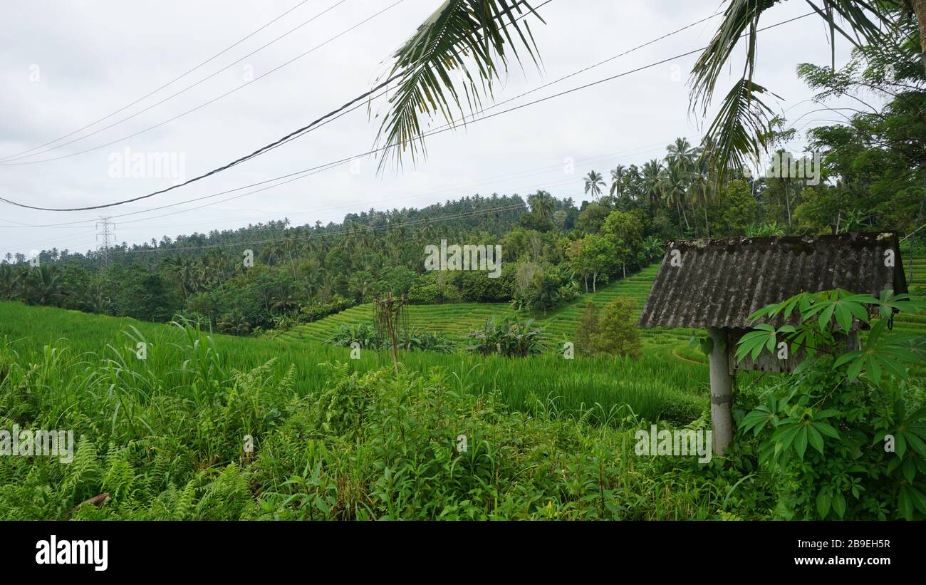 The beautiful landscape of Bali in Indonesia Stock Photo - Alamy