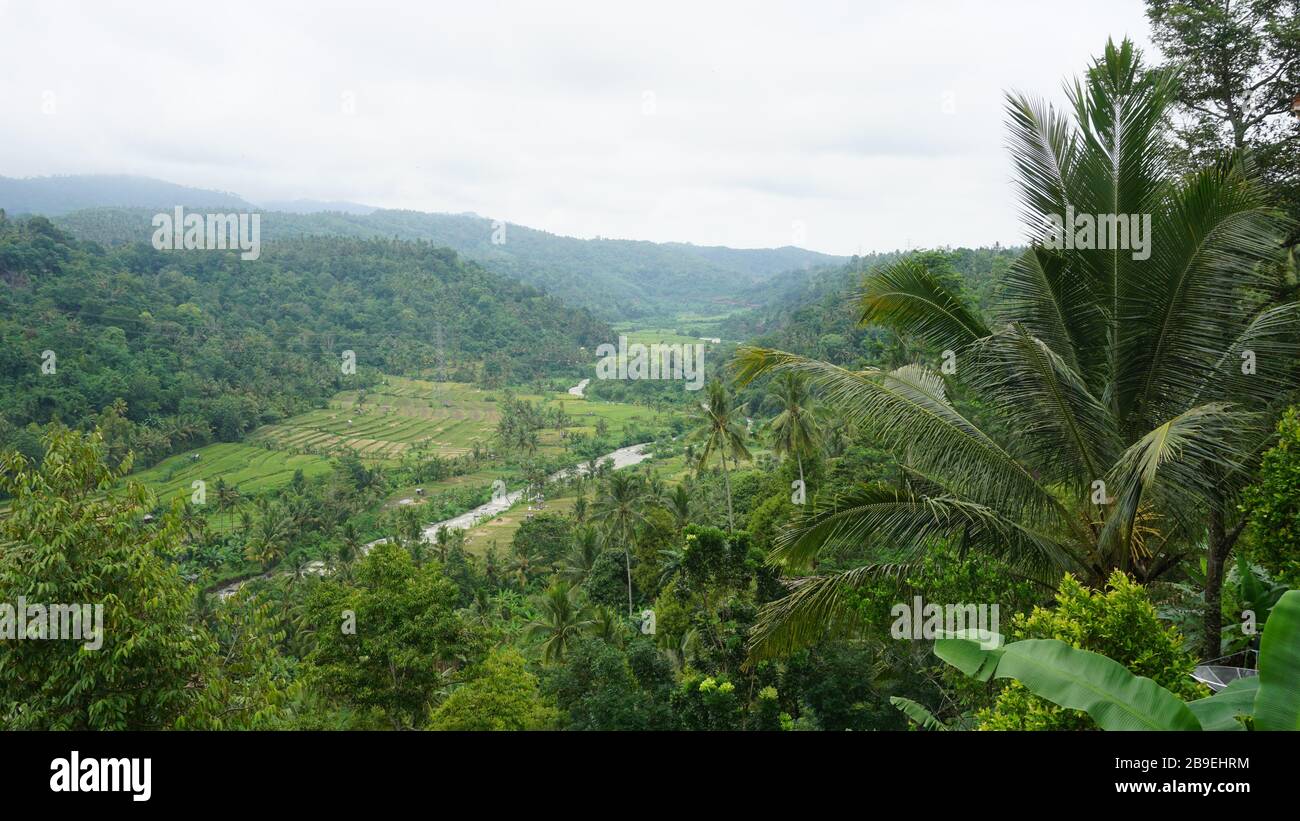 The beautiful landscape of Bali in Indonesia Stock Photo - Alamy