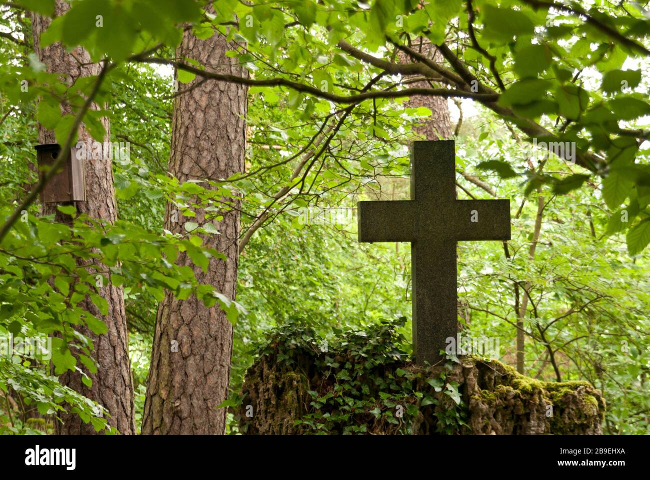 Cemetery in a Forest in Germany Stock Photo - Alamy