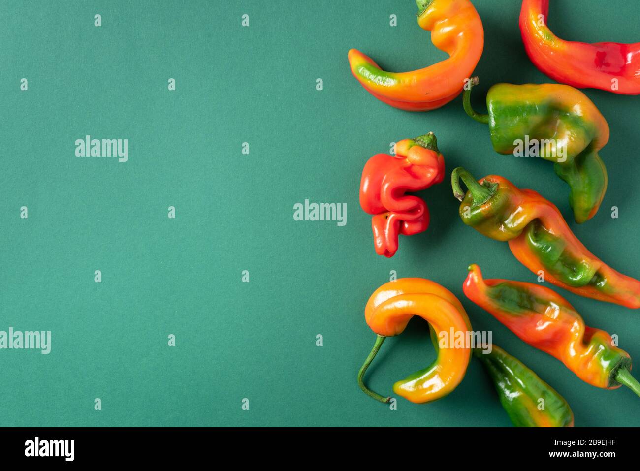 Ugly bell pepper on green background. Concept of zero waste production ...