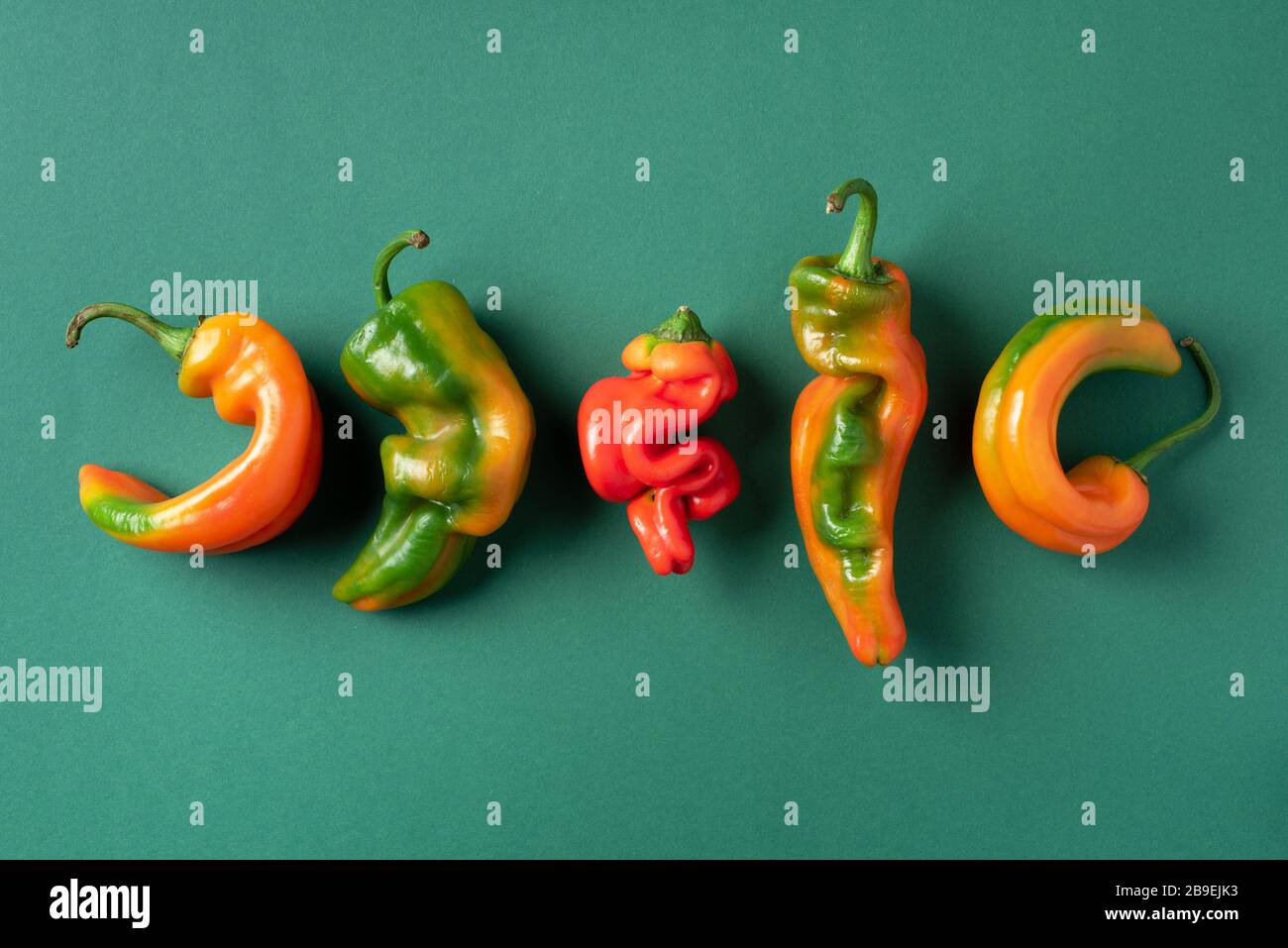 Ugly bell pepper on green background. Concept of zero waste production ...