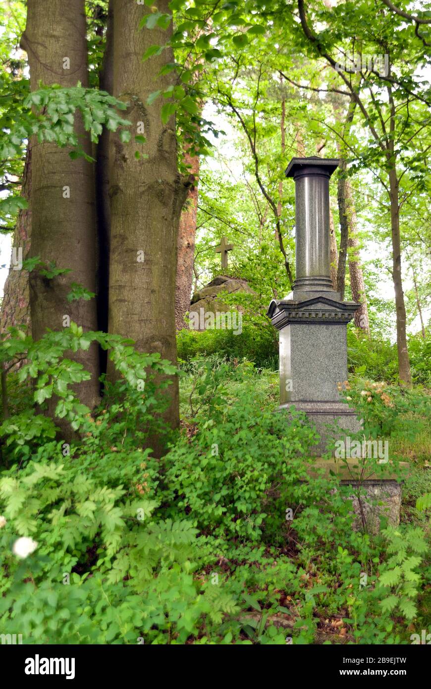 Cemetery in a Forest in Germany Stock Photo - Alamy
