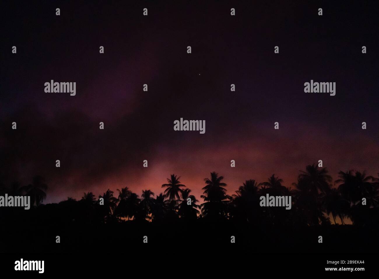 Smoke from a bonfire in a rainforest at sunset. Fires in the forest ...