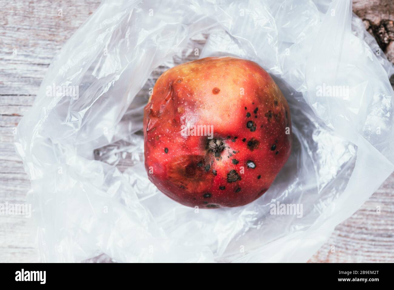 Spoiled bad red apple on plastic bag background. Garbage dump rotten ...