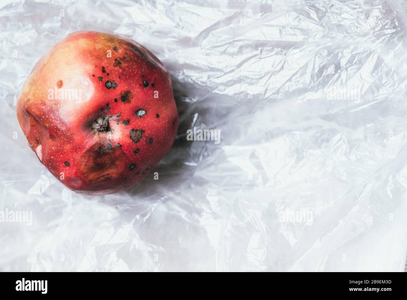 Spoiled bad red apple on plastic bag background. Garbage dump rotten ...