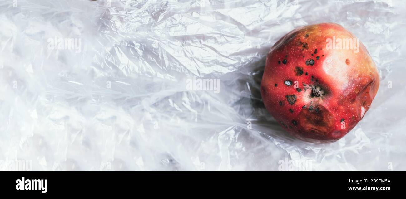 Spoiled bad red apple on plastic bag background. Garbage dump rotten ...