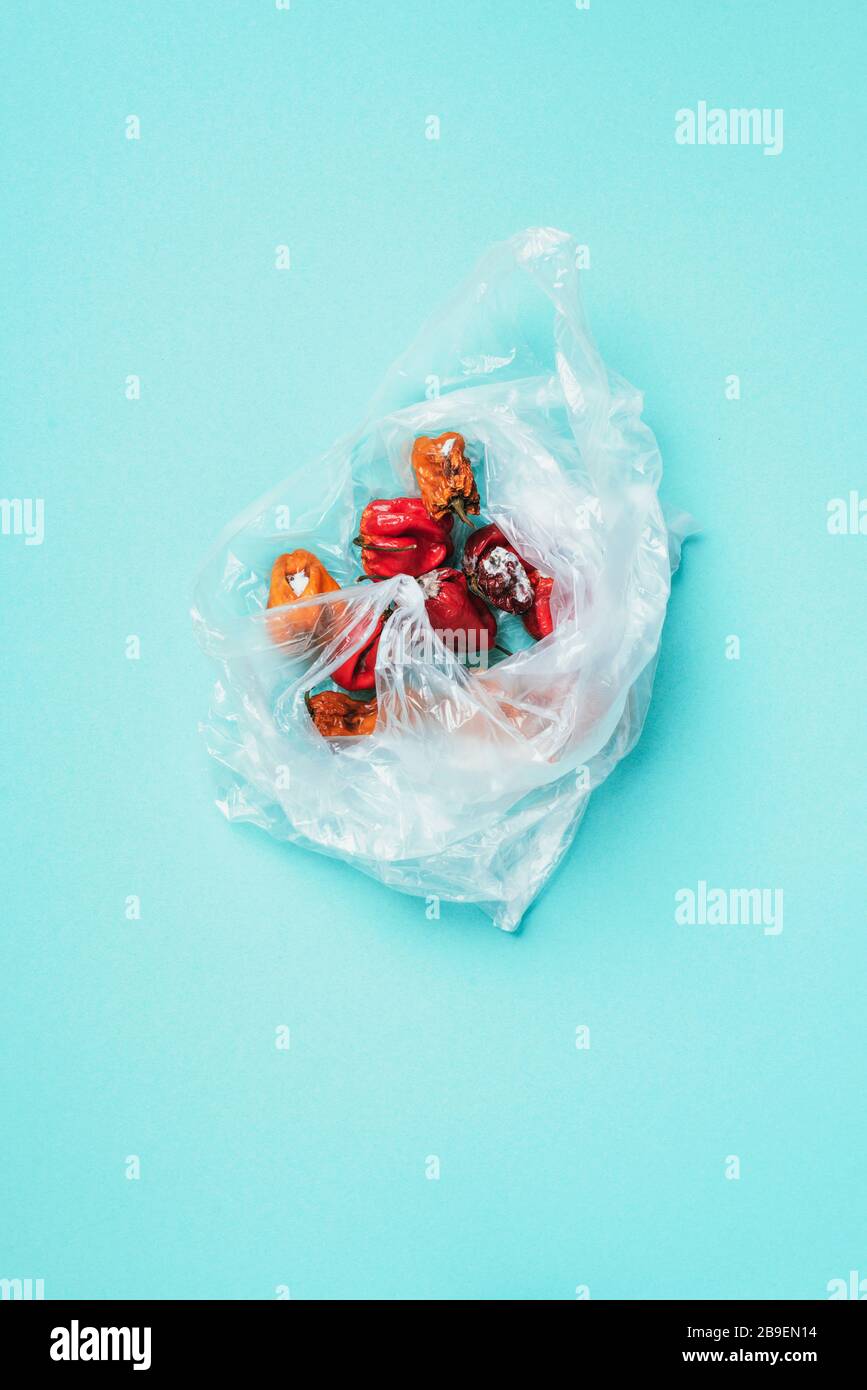 Moldy and wrinkled rotten peppers in plastic bag on blue background ...