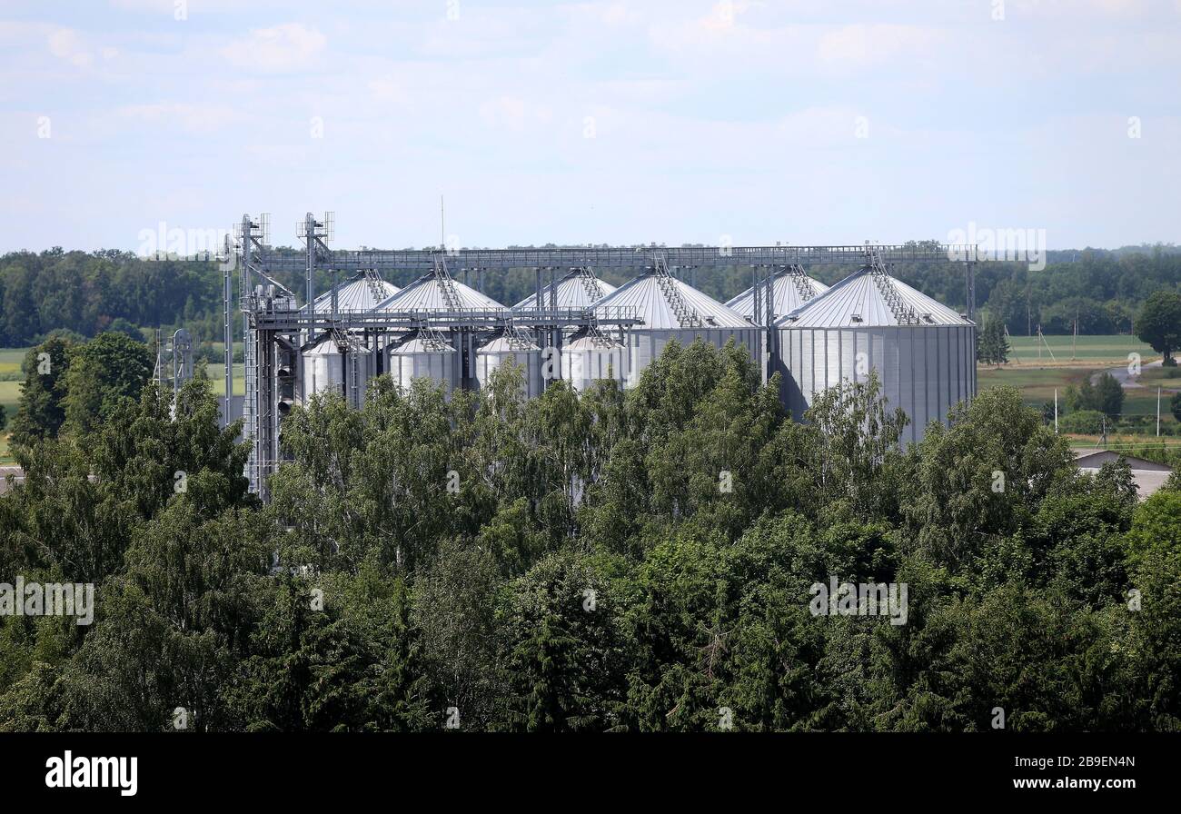 exterior of big silo technology in sun beam light in agriculture life ...