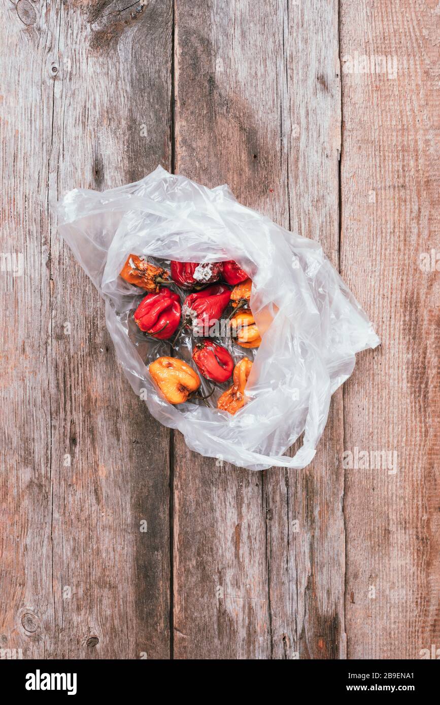 Plastic eating bacteria hi-res stock photography and images - Alamy