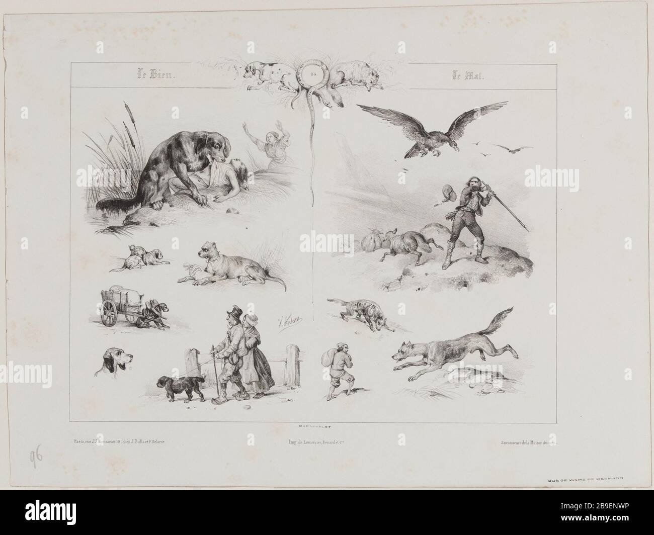 Oiseau et renard hi-res stock photography and images - Alamy