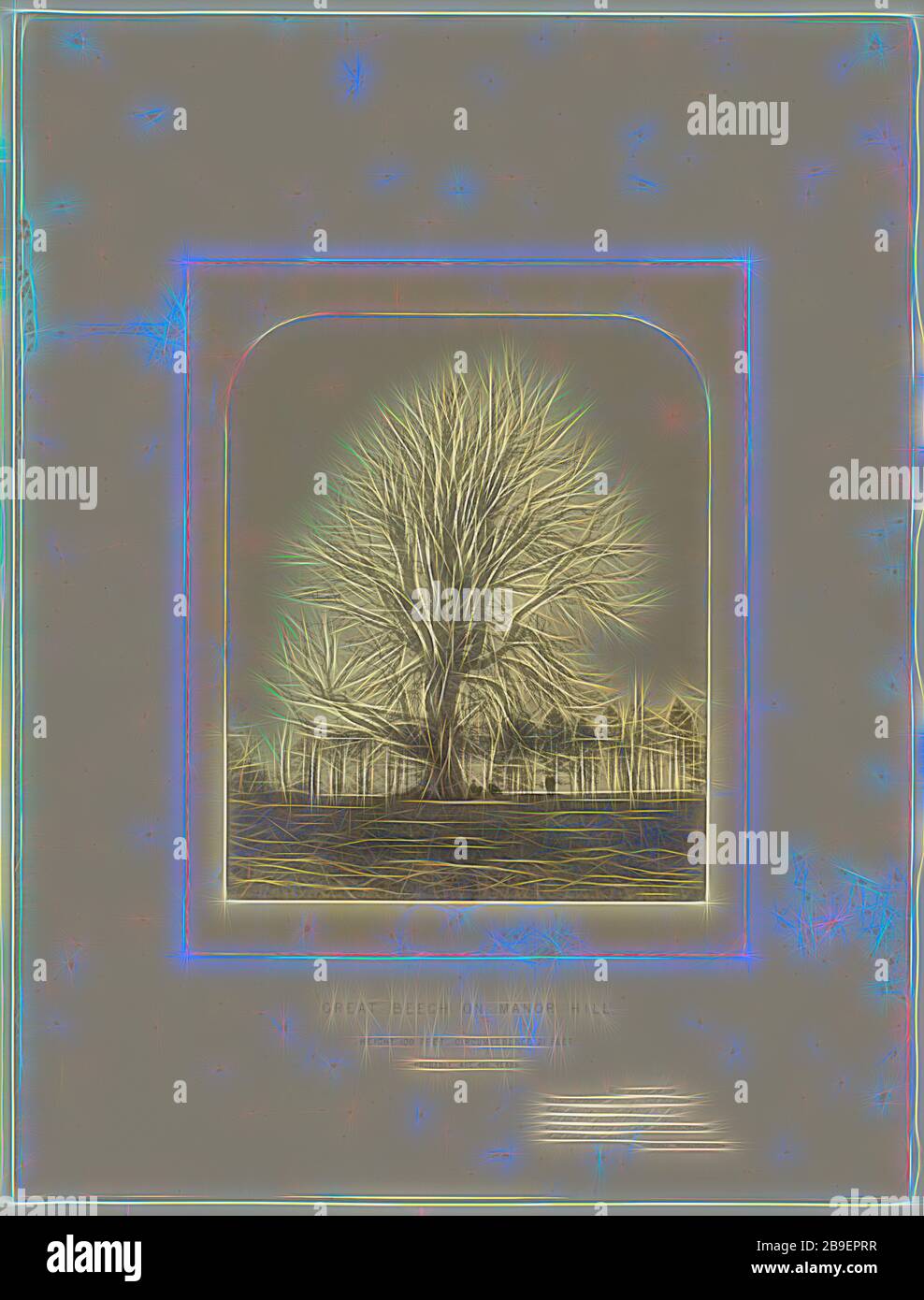 William bambridge hi-res stock photography and images - Alamy